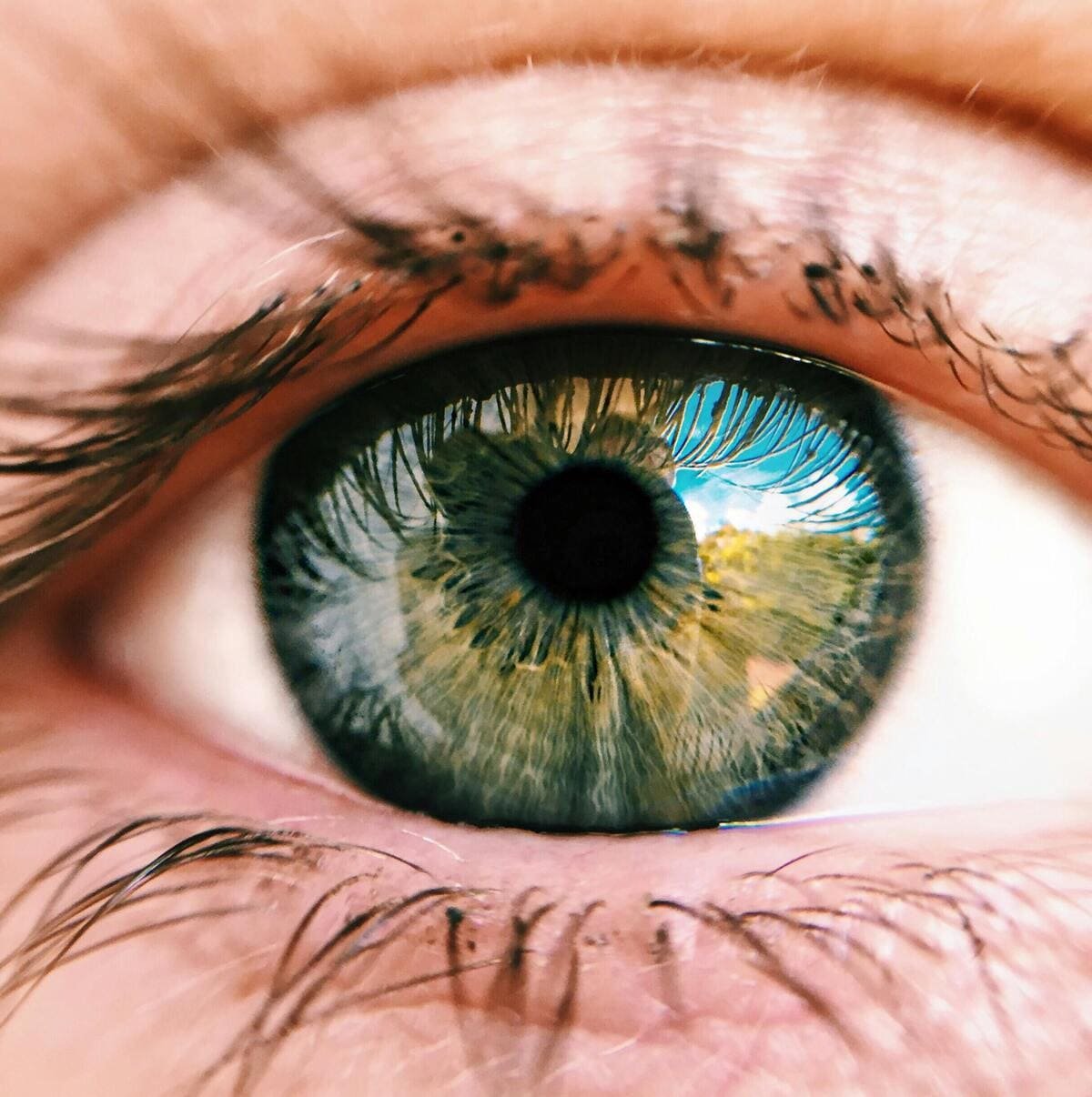 Como melhorar a visão e a acuidade visual - Corpo e Mente na prática